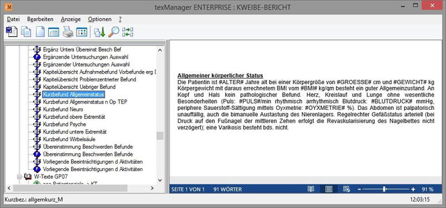 Arztbriefschreibung - texManager