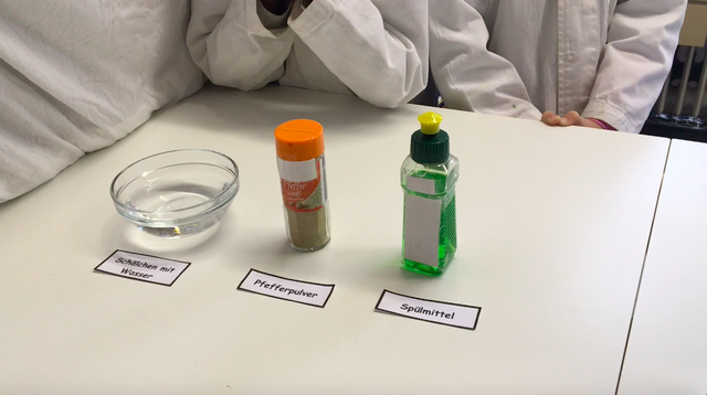 Zauberpfeffer - Experimente Sachunterricht Grundschule lmu.de