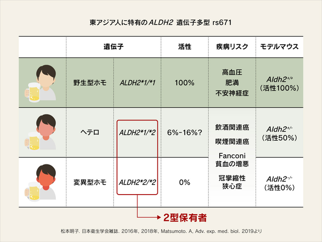 ALDH2遺伝子多型に関する研究 - 佐賀大学医学部 社会医学講座環境医学分野