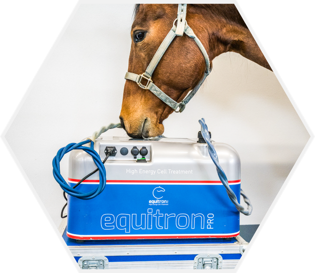 Equitron Pro - REFIT Horse Center