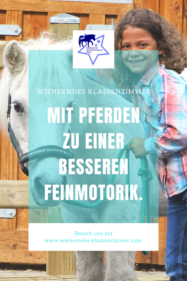 Stift im Griff - Fortbildungen für Reittherapeuten und Reitpädagogen