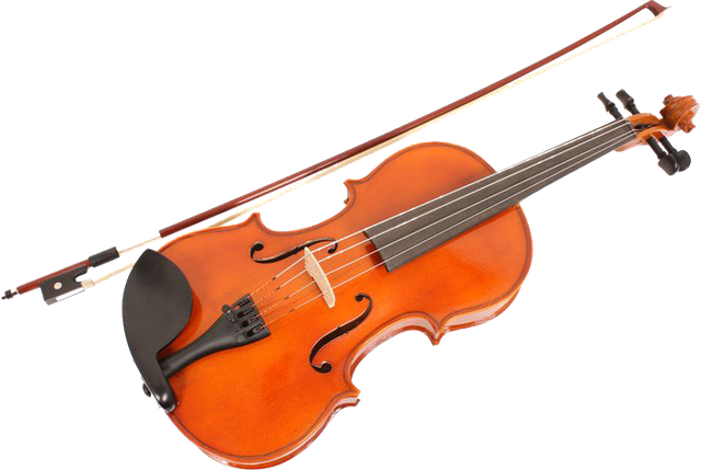 Viola (Bratsche) - msdws Webseite!