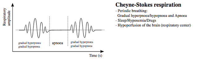 Respiración de Cheyne-Stokes - Página web de pseudomonas
