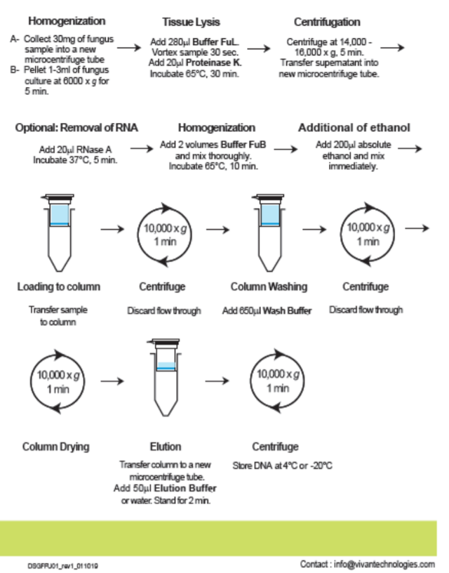 Fungus DNA Isolation Kit - GeneON BioScience