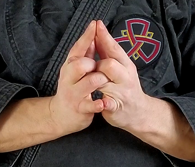 Kuji in und Kuji kiri - Ninjutsu lernen mit Ninpo Ralph