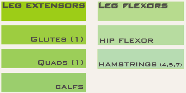 Testing strength and power in football - footballscience.net | Soccer ...