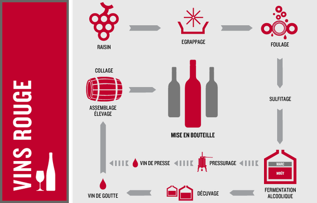 Le vin : étapes d'élaboration dès la vendange - La Petite Goutte
