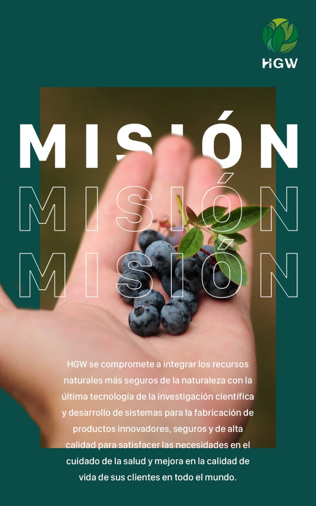 ¿QUE ES HGW? - HGW Perú, México, Panamá, Ecuador, Chile, España ...