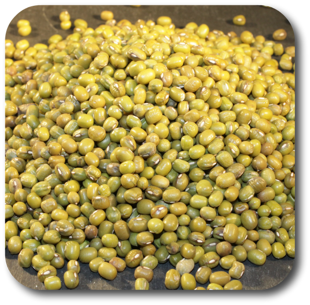 Haricot Mungo ou Soja Vert - Ferme des mille épis en Normandie