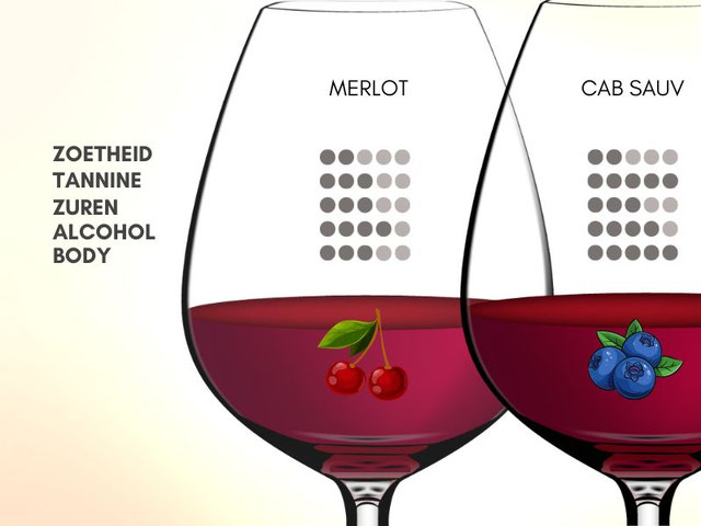 Wat is Merlot? Wijn Guide + Infographic - Wijn Wine Wein