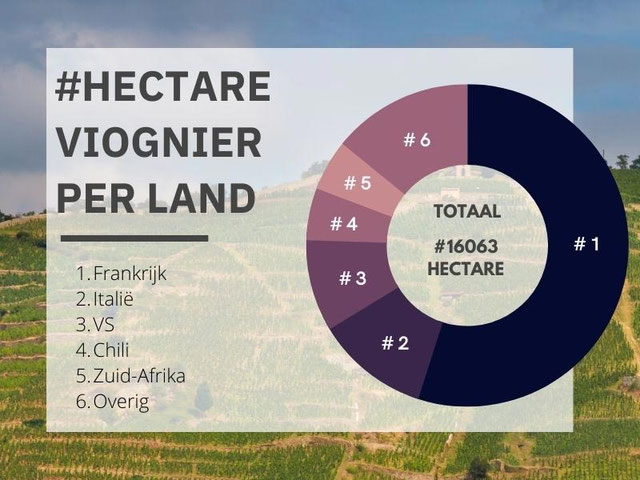 Wat is Viognier? Wijn Guide + Infographic - Wijn Wine Wein