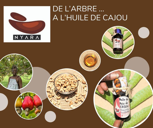 L’ANACARDIER, SA NOIX ET SON HUILE - Nyara