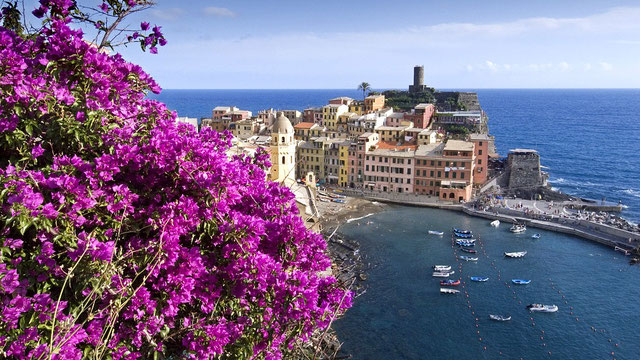 With these Plants you bring Italy into your home! - amalfistyle