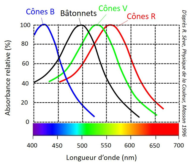 Le daltonisme - 1,2,3 Couleurs ! Expériences scientifiques et boutique ...