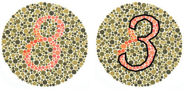 Le daltonisme - 1,2,3 Couleurs ! Expériences scientifiques et boutique ...