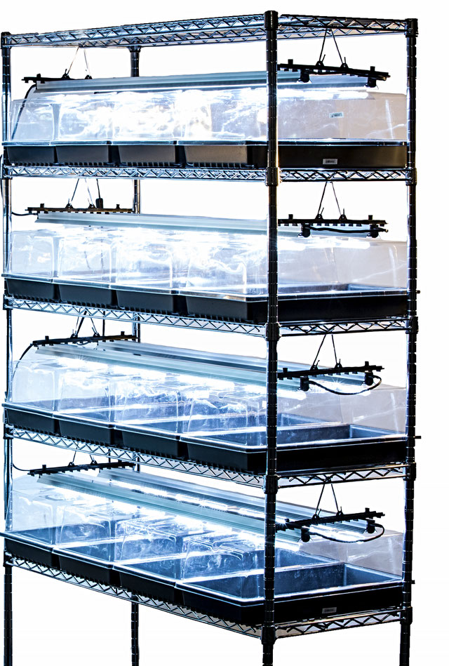 Technical Data - SunBlaster Lighting