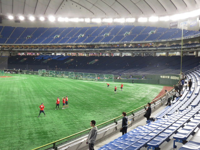 Tokyo Dome seating guide - Ken Tanaka Tokyo English Tour Guide