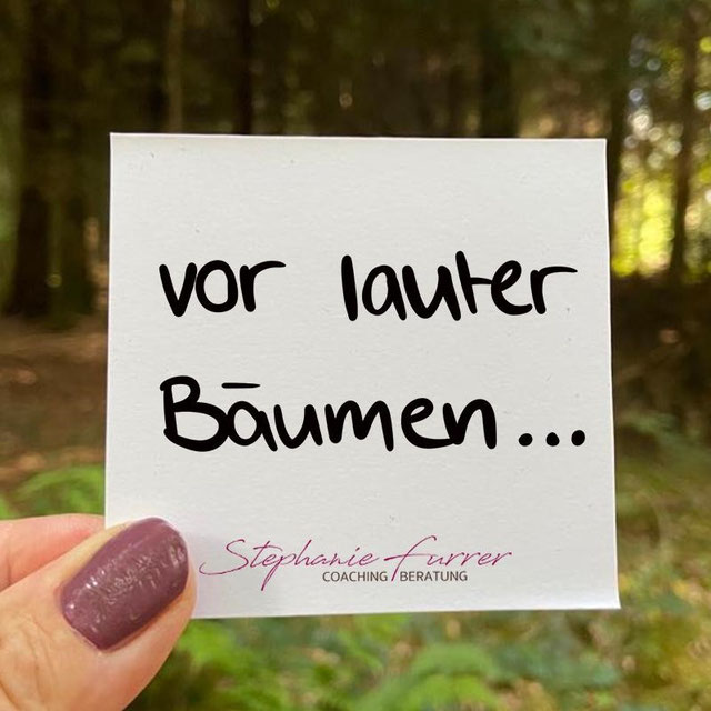 Ohne Fleiss kein Preis - Stephanie Furrer Coaching