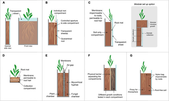 Root & Rhizosphere Monitoring - Rhizobox - Vienna Scientific