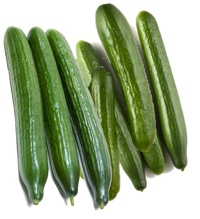 Long English Cucumbers Pepinos sin semilla - hidrorgan