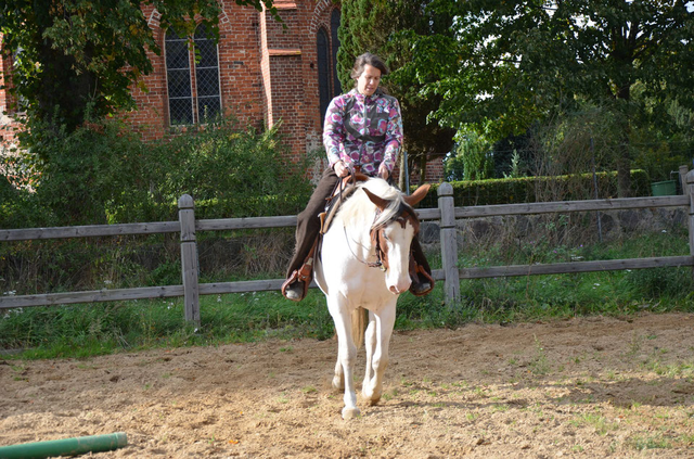 Die Reitschule - reitschule-riederslueueds Webseite!