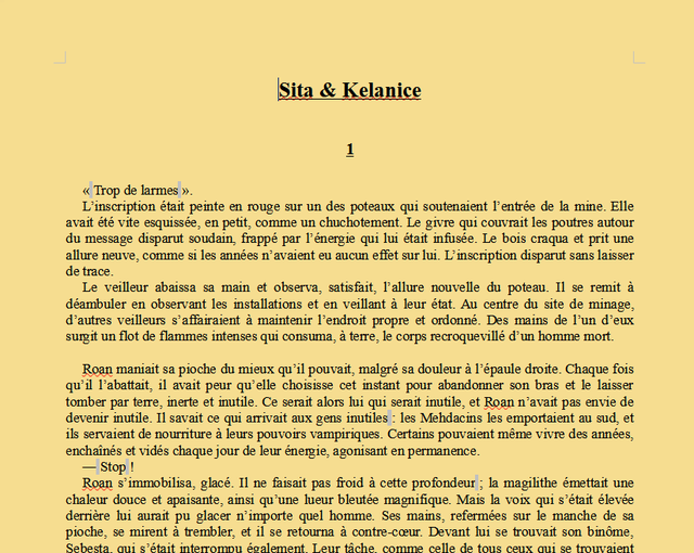 Prochain projet - Panium