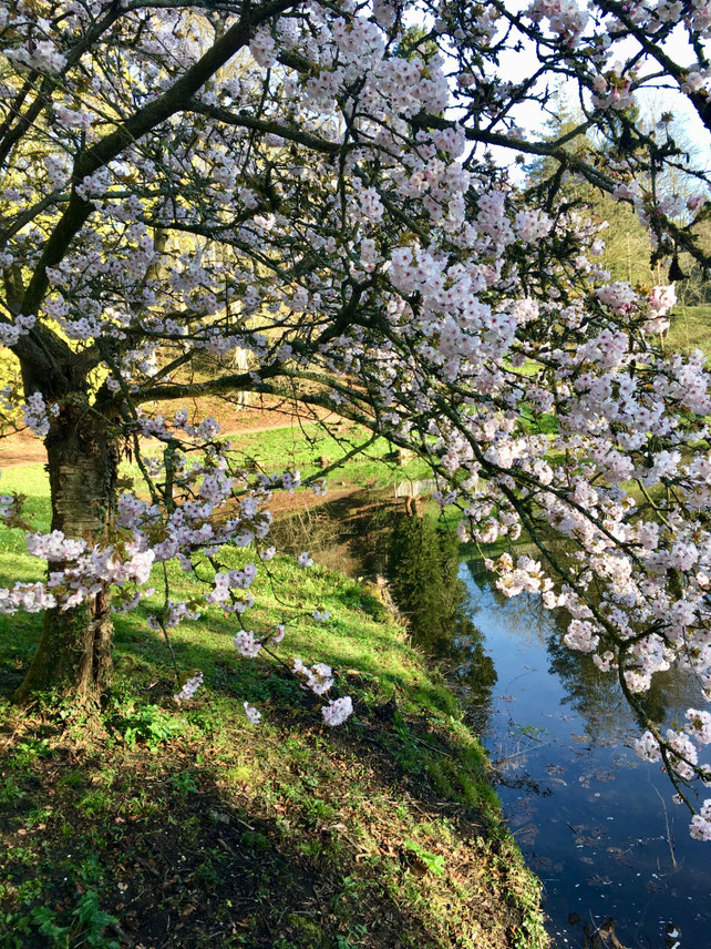 Qui suis-je? - Laura Perichon
