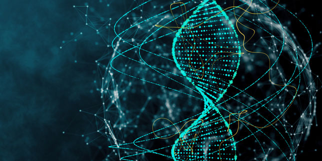 BioONE (Biology Online Notes Exposition) SB015 - edbiologykmpk