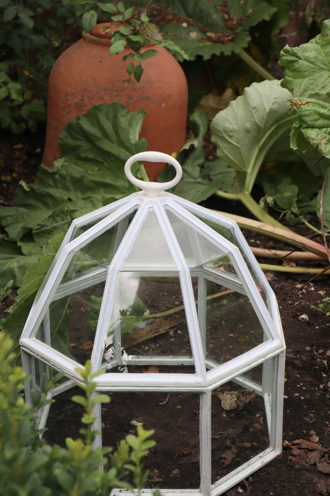 Garten-Clochen - The golden Rabbit - beste Gartengeräte für Gartenliebhaber