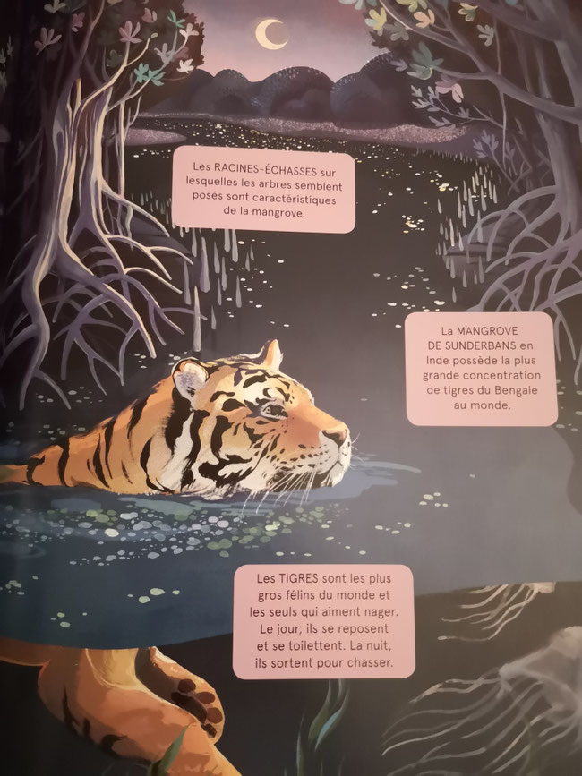 Les Animaux de la nuit - Maitresse-on-lit-quoi