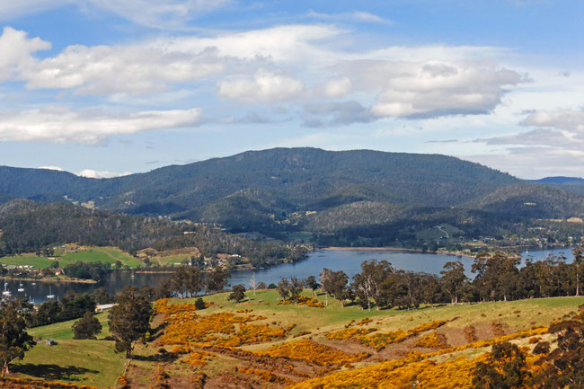 Climbing Mount Cygnet - The Journey and the Destination