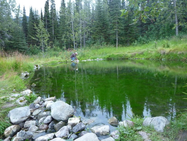 Warm Springs: - Private Hostel