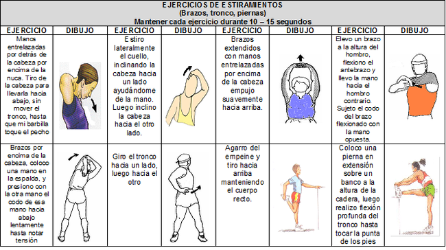 Ejercicios de calentamiento y movilidad articular - Página web de edufisicaefb
