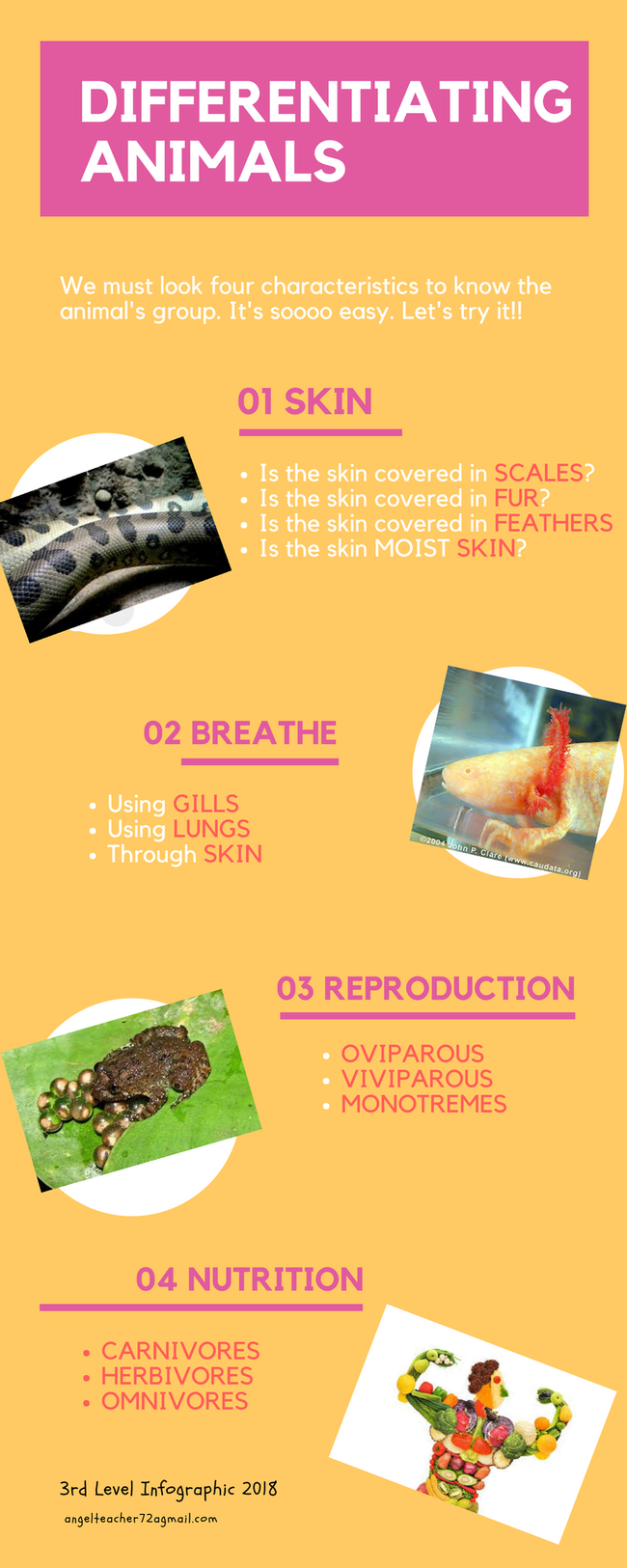 How can we differentiate animals? - TIC in Bilingual Classroom at CEIP ...