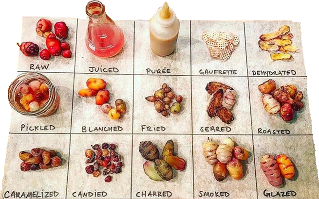 Recipes with Oca's as an ingredient (English) - oca-inspiration Oxalis ...