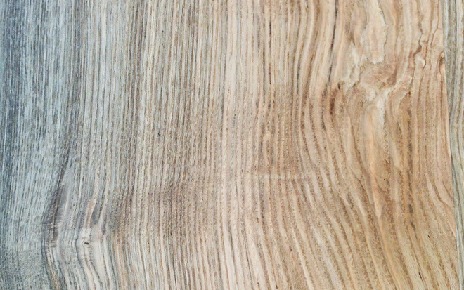 Premium Japanese Ash 【神代櫤】 - ITAKURA Japanese Premium Wood