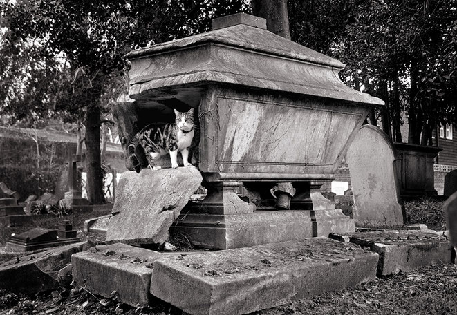 Lucy's Tomb - vampvaults Webseite!