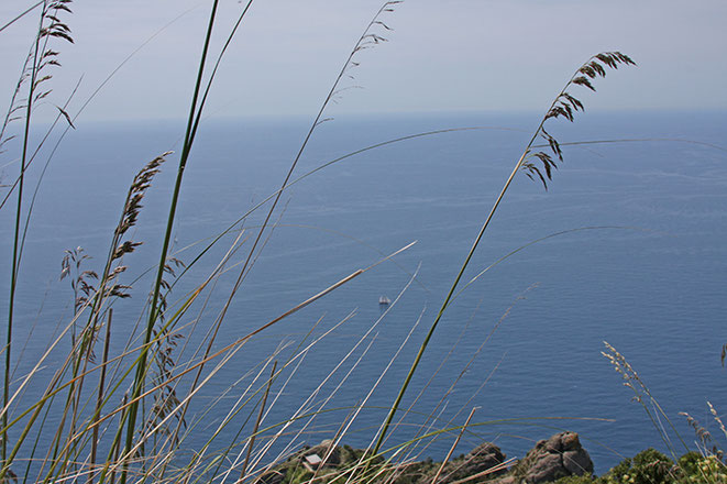 Boats - Benvenuti su emma-random!