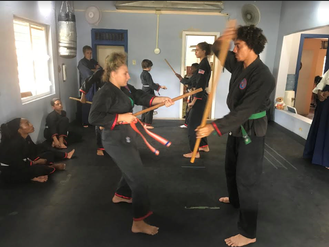 Why Sansei Isshin-ryu Karate-do - Sunsu Dojo, St Croix