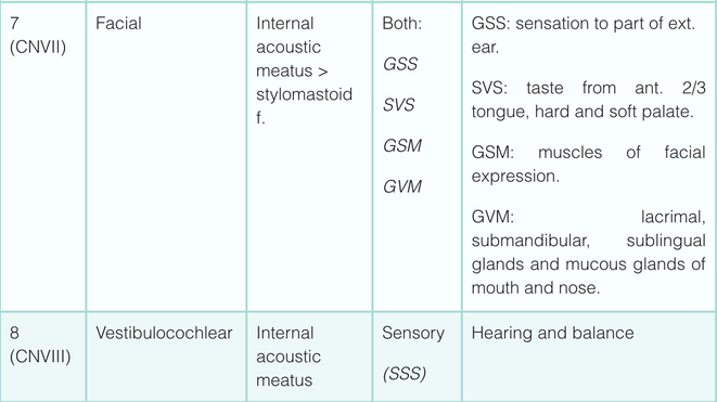 Cranial Nerve Definition Function Britannicacom Cranial Nerve Definition Function Britannicacom