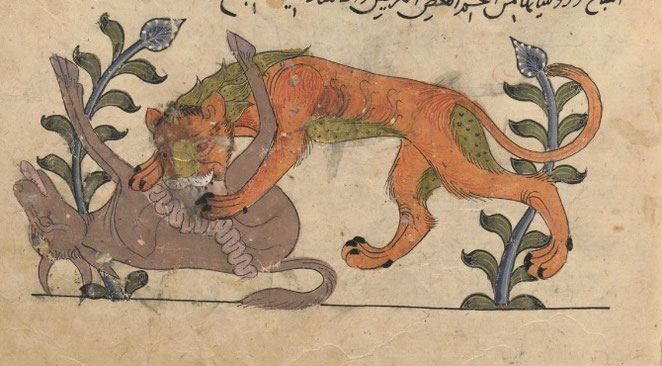 Jahiz Kitab al-Hayawan 869 - pieterderideaux