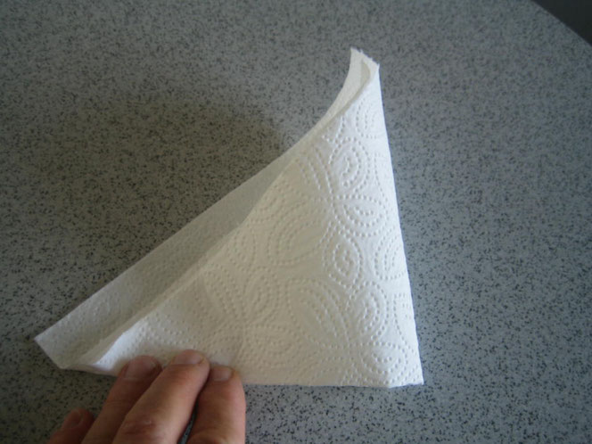 Filter-Falten aus Haushalts-Papier - Dr. Herterichs Sprüche-Sammlung