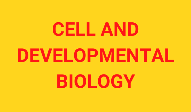 research areas - Cell Biology & Molecular Genetics