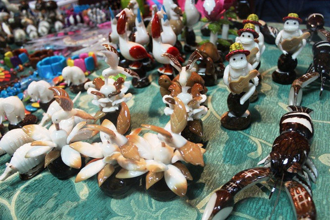 Inició presentación mundial de documentales sobre la tagua - Revista LA ...