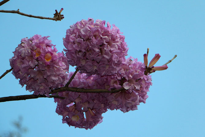 Desde nuestros inicios... - Macuilis: Mermeladas, Salsas & Conservas ...