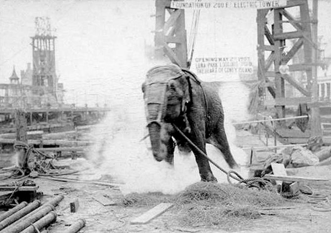 The electric chair - Open Tesla Research