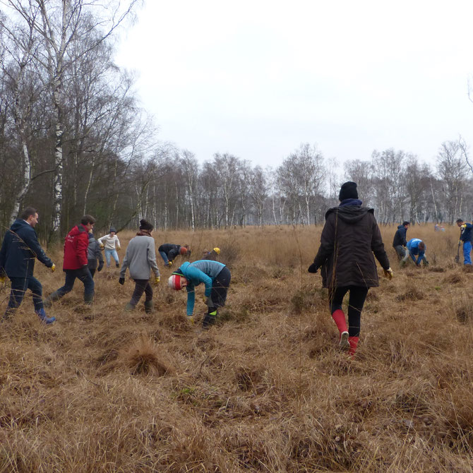 Aktuelles - NAJU Hamburg