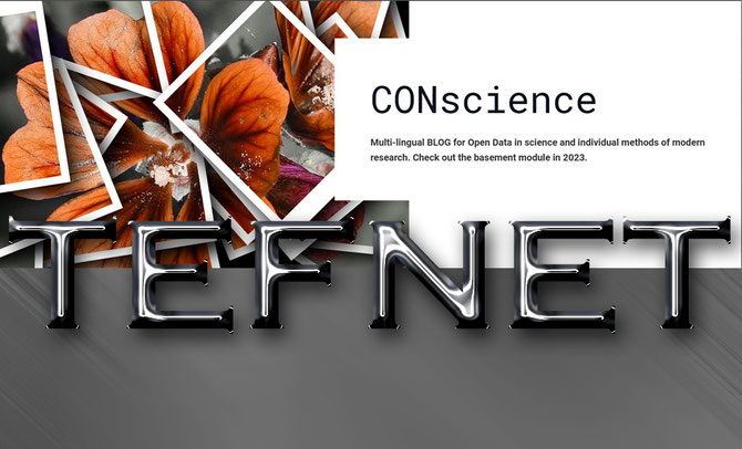 Bekhas Front - Villebooks Publishing