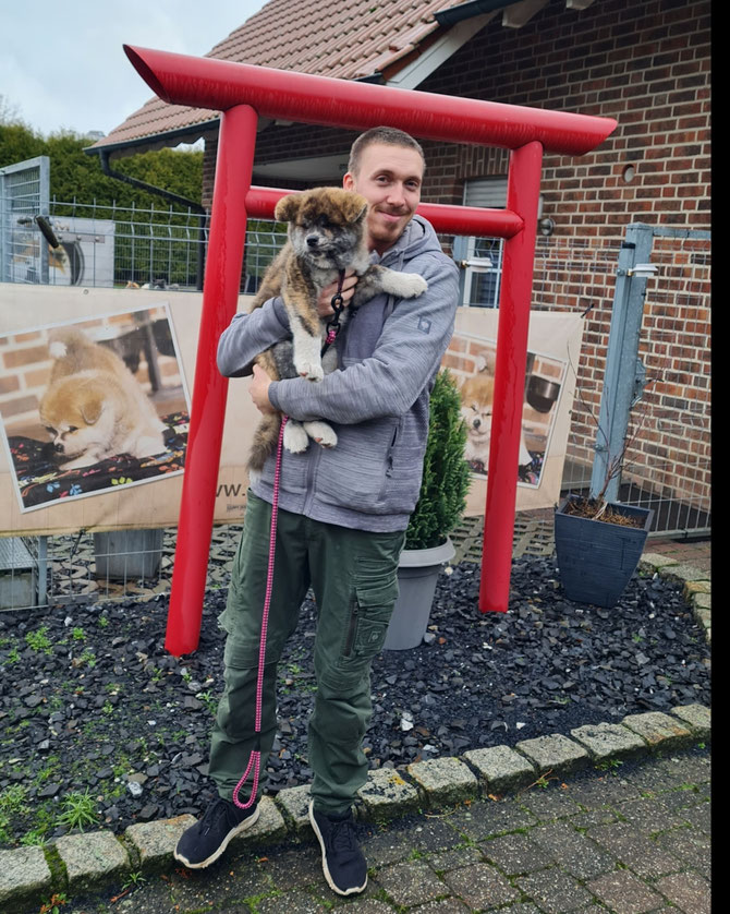 E2-Wurf / E2-litter - Akita Inu of RamsRaspel Kensha