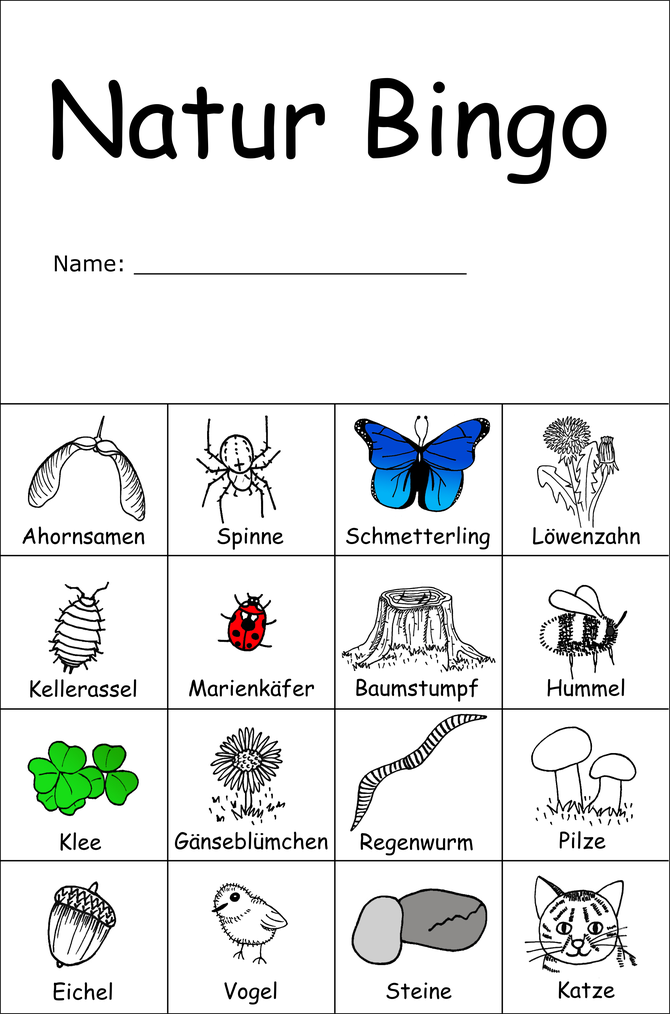 Die Natur entdecken - Das Eulenatelier